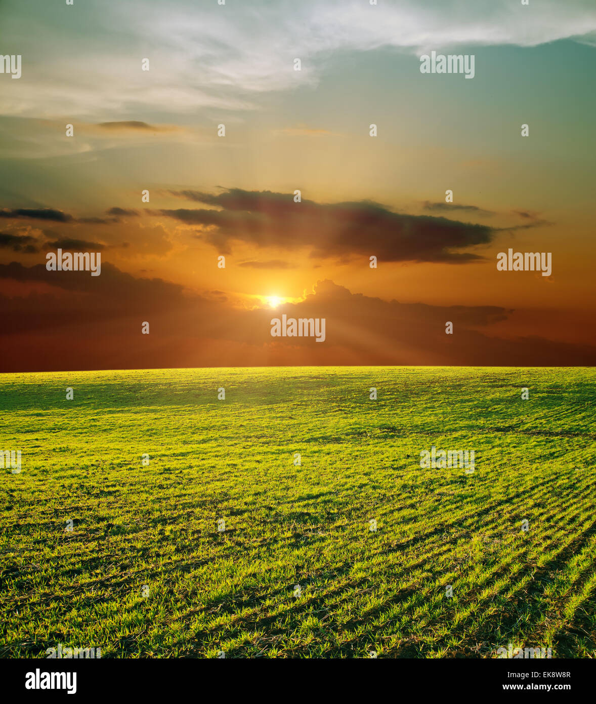 green field and sunset Stock Photo - Alamy