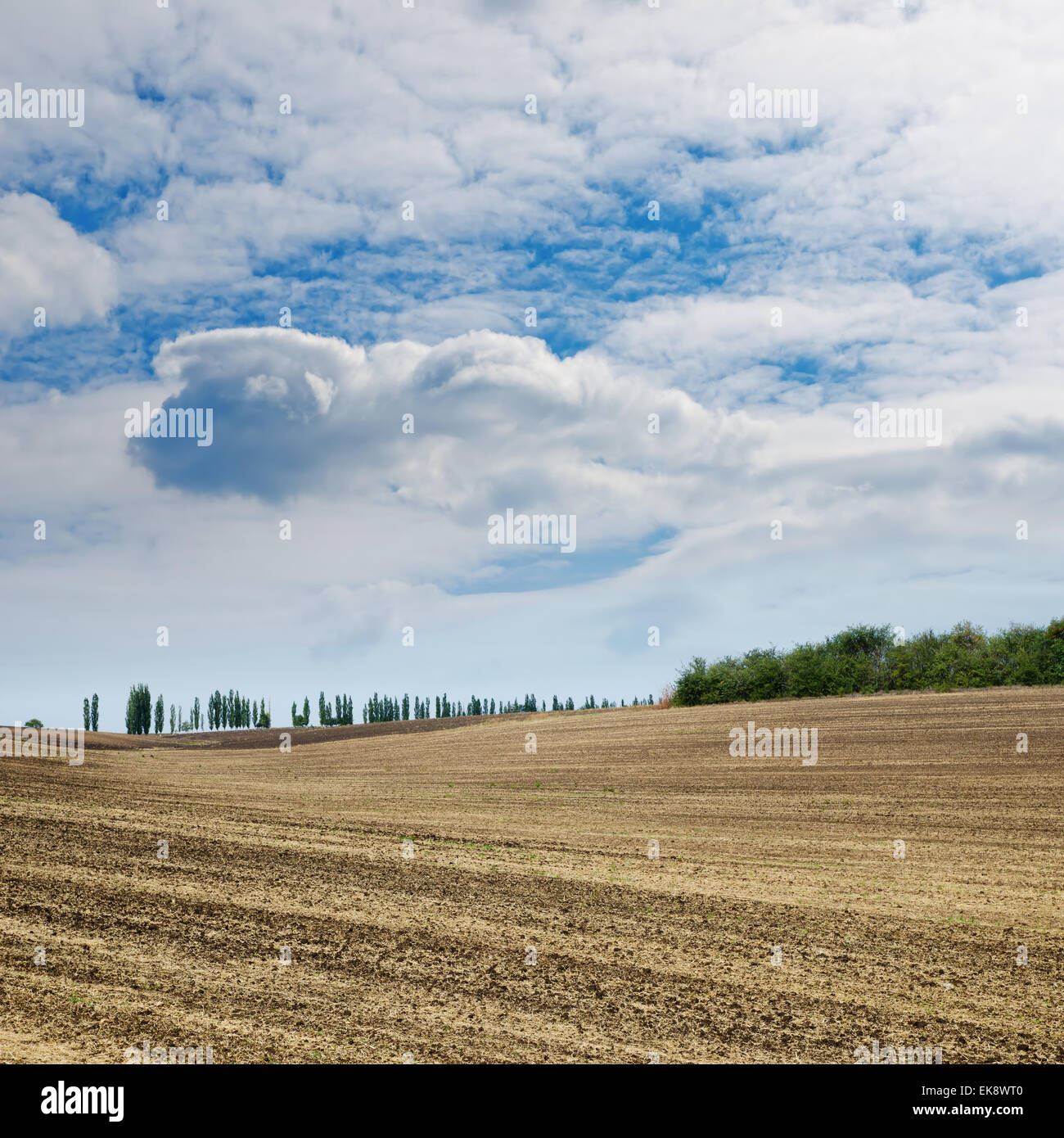 Black soil field hi-res stock photography and images - Alamy