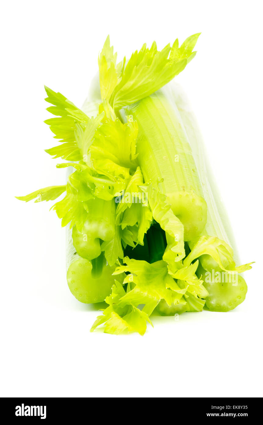 Celery stalks on white Cut Out Stock Images & Pictures - Alamy