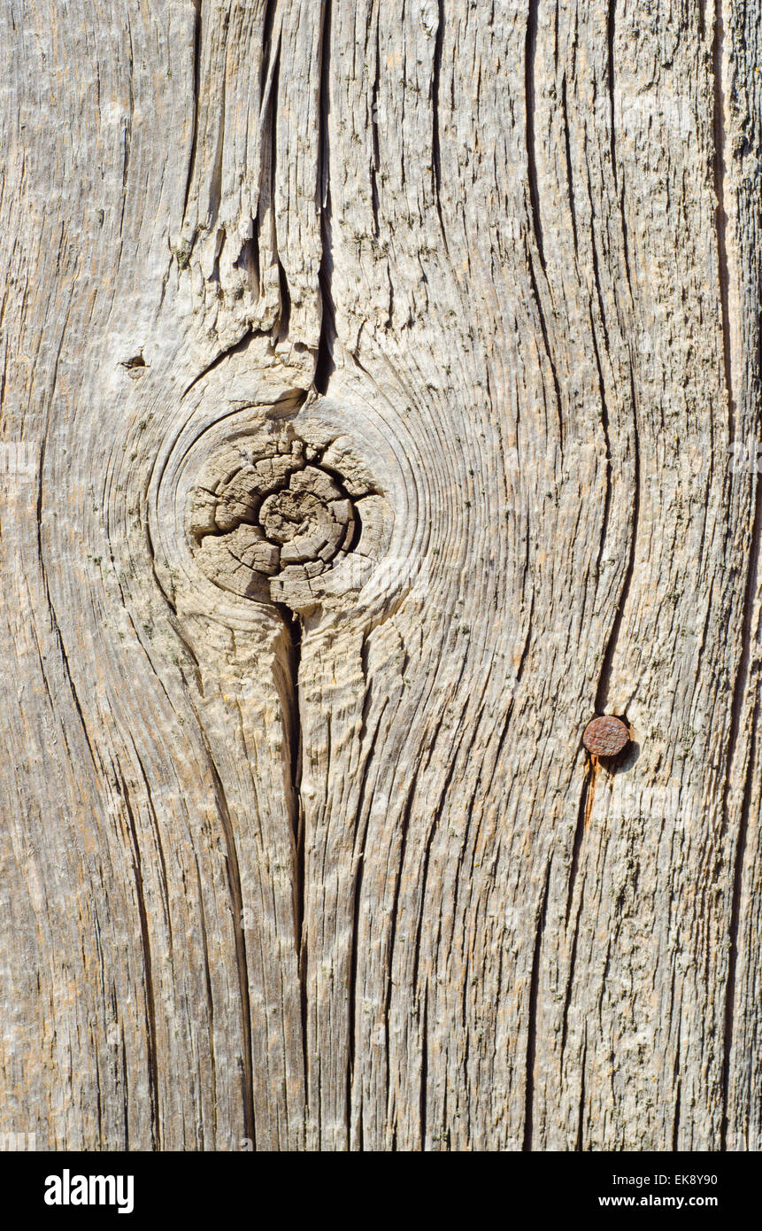 twig on textured surface of board Stock Photo - Alamy