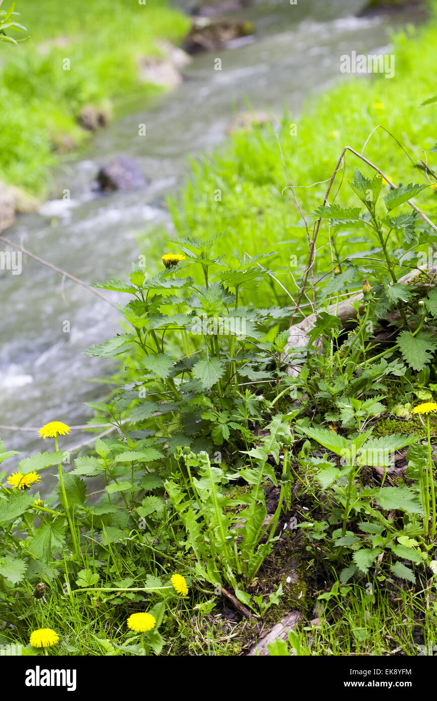 Smooth running water hi-res stock photography and images - Alamy