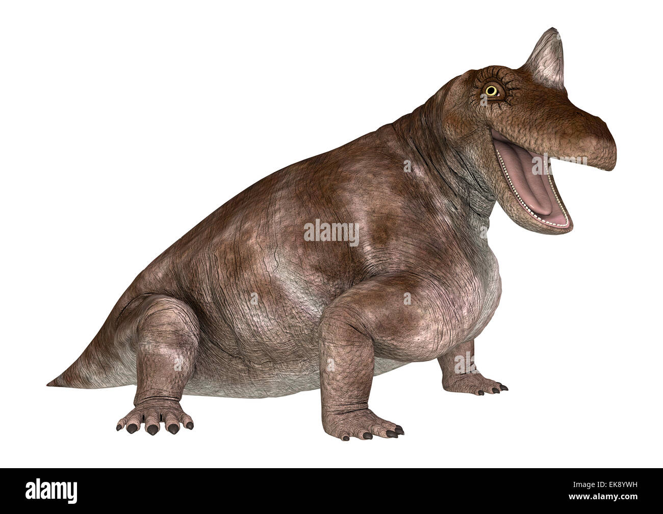 3D digital render of a dinosaur keratocephalus isolated on white ...