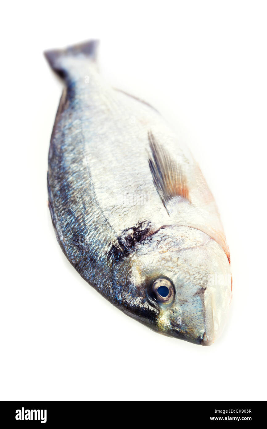 fresh dorada fish Stock Photo - Alamy
