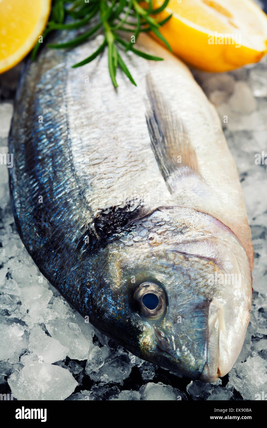 fresh seafood on ice Stock Photo - Alamy