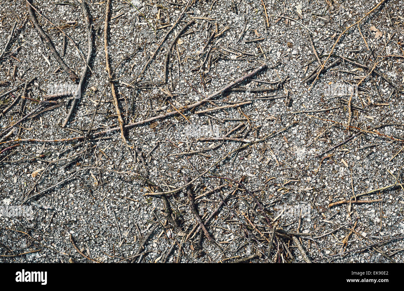 Ground textures, sand and wooden branches Stock Photo - Alamy