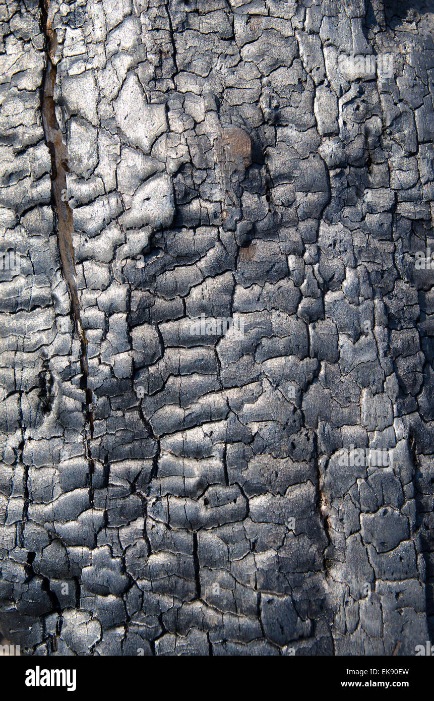burnt wood texture Stock Photo - Alamy