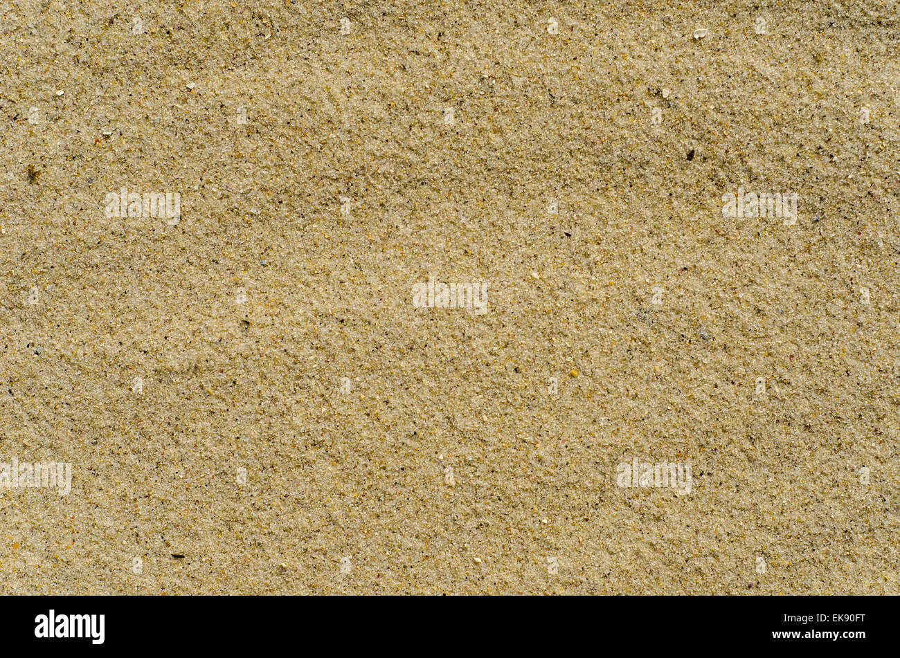 Closeup particle hi-res stock photography and images - Alamy