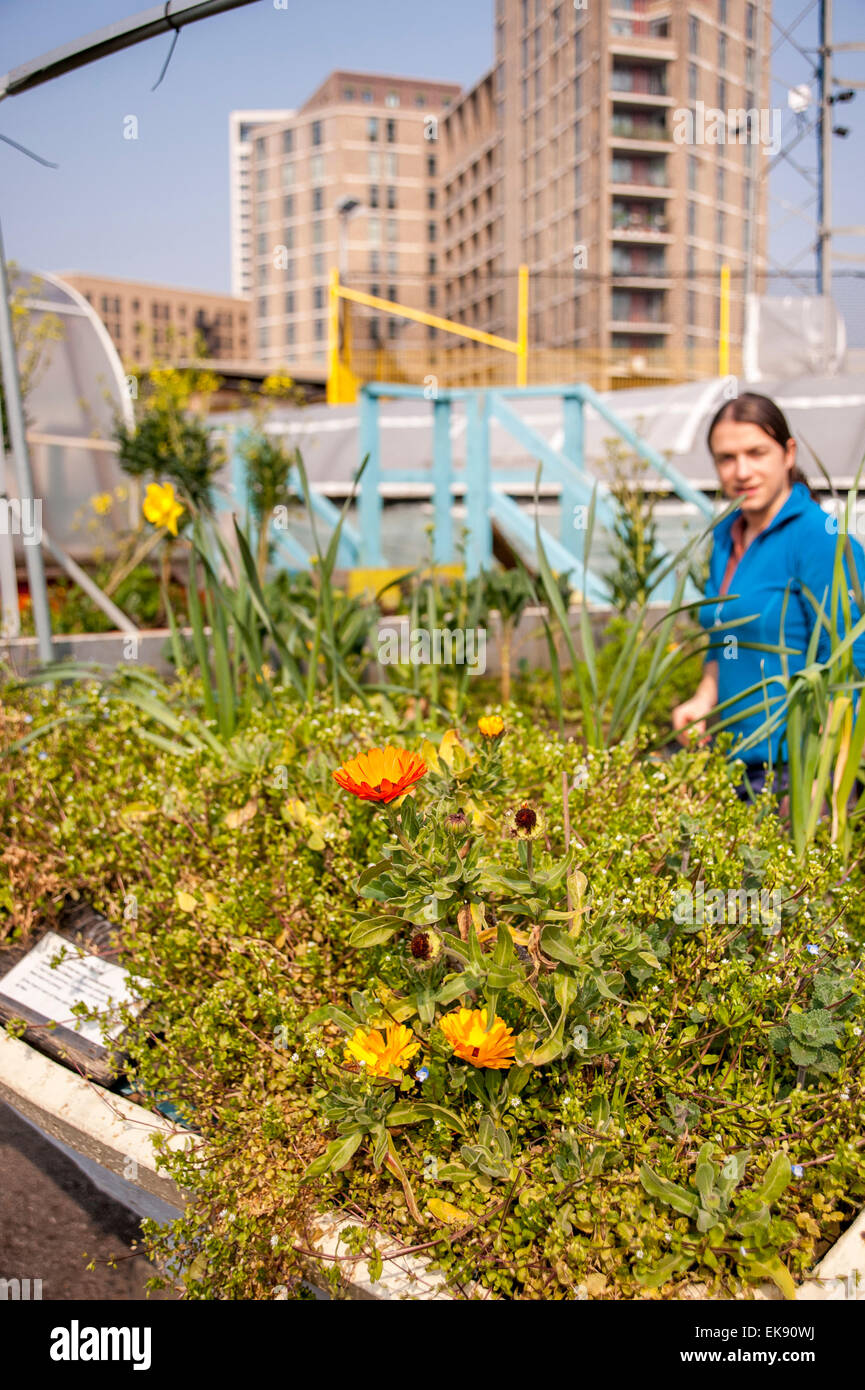Volunteer workers garden hi-res stock photography and images - Alamy