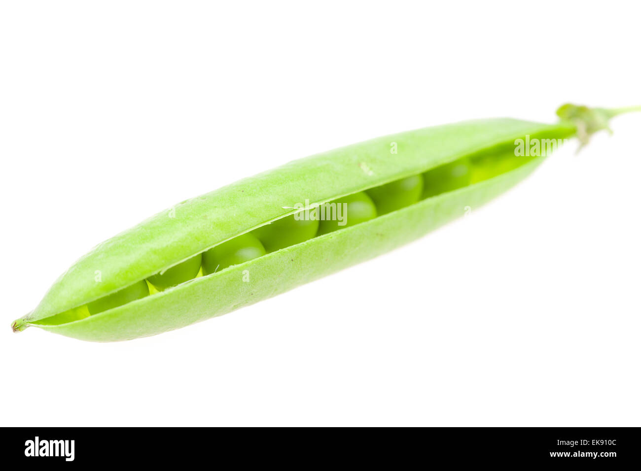 Harvesting sweet peas Cut Out Stock Images & Pictures - Alamy