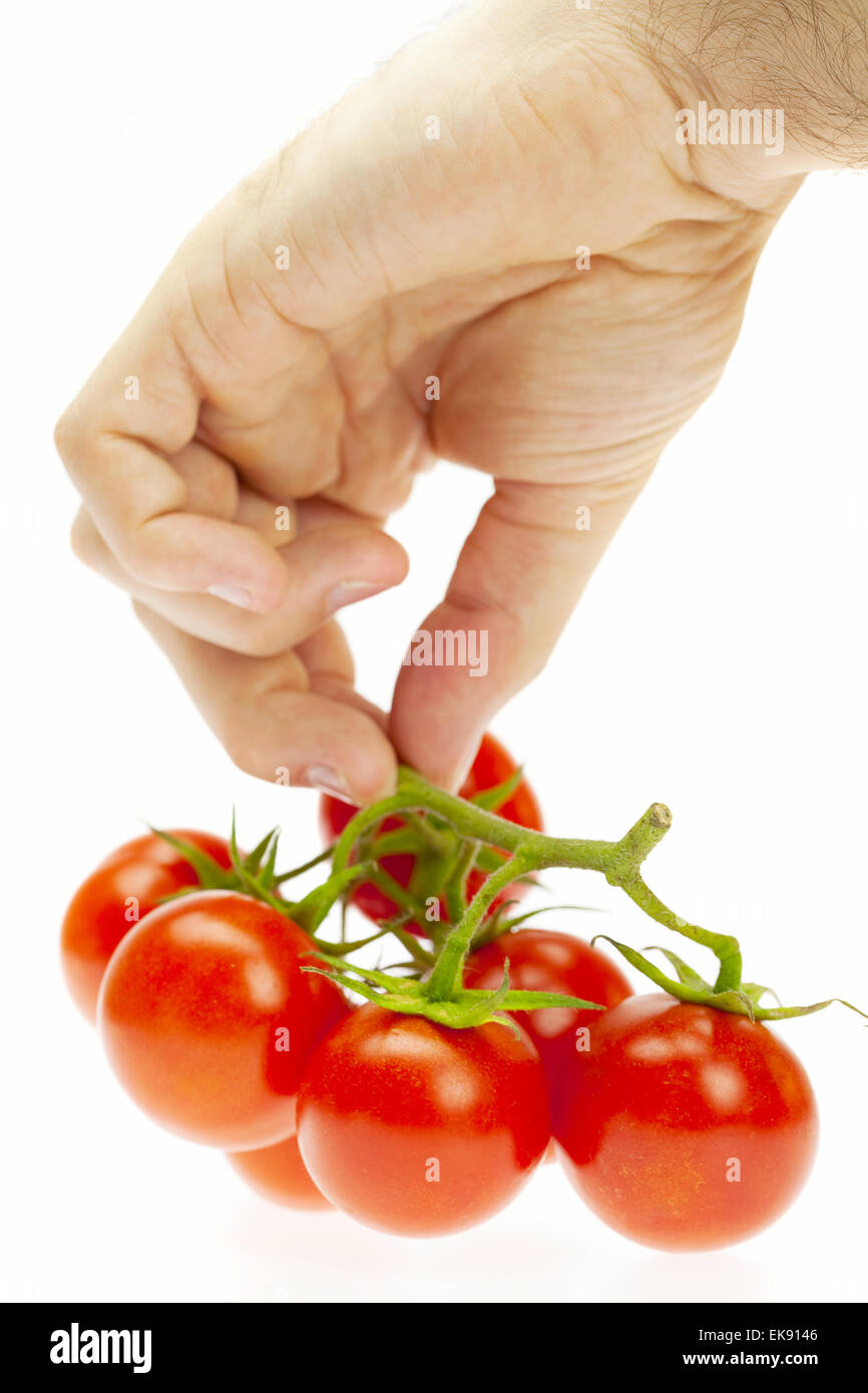 juicy tomatoes in hand isolated on white Stock Photo - Alamy
