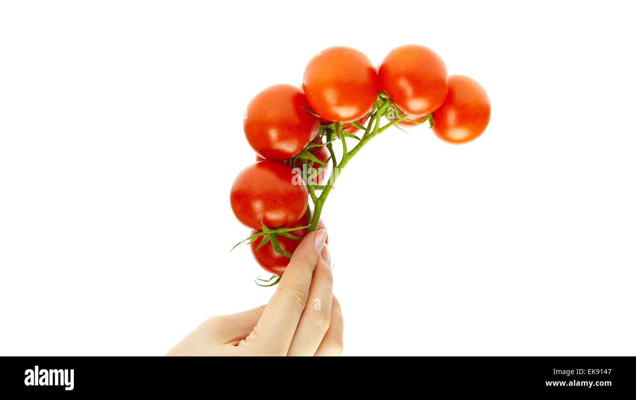 juicy tomatoes in hand isolated on white Stock Photo - Alamy