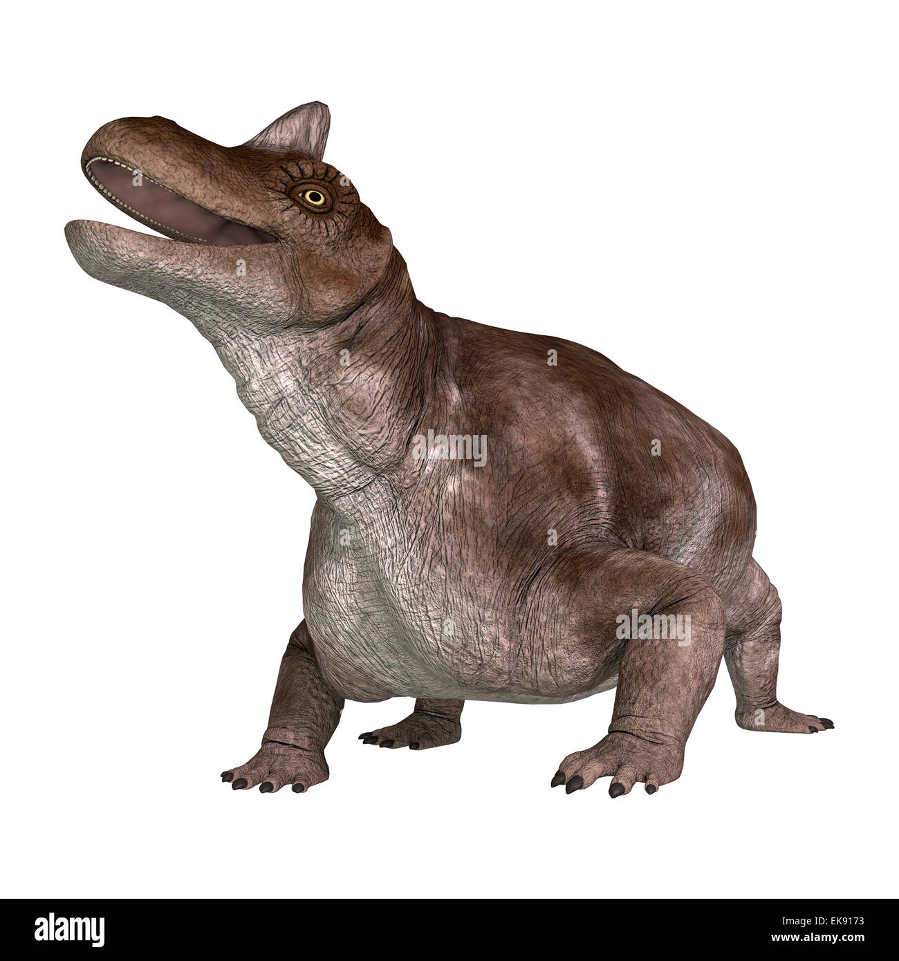 3D digital render of a dinosaur keratocephalus isolated on white ...