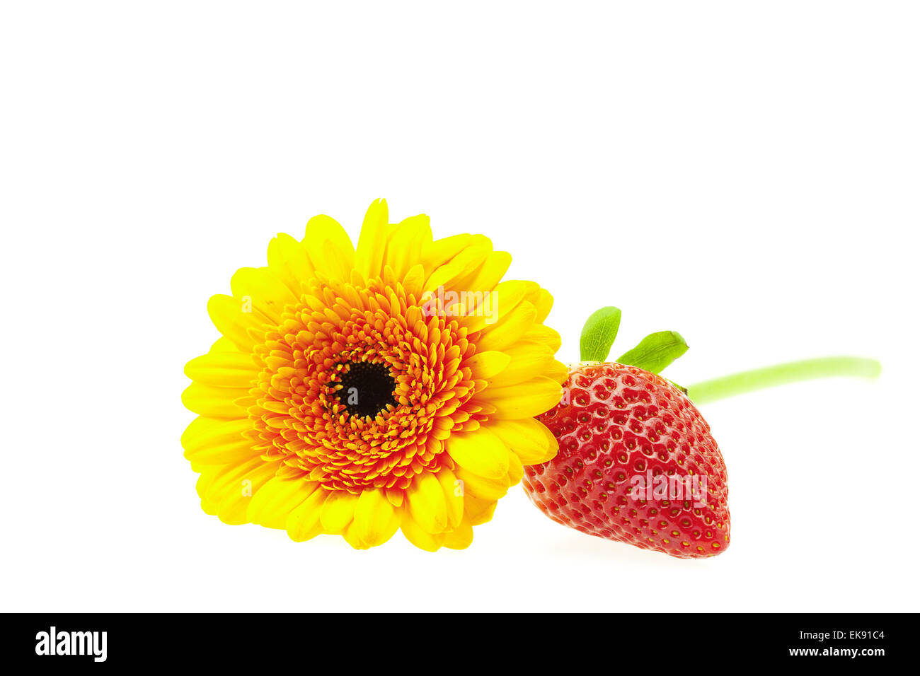 strawberry and flower isolated on white Stock Photo - Alamy