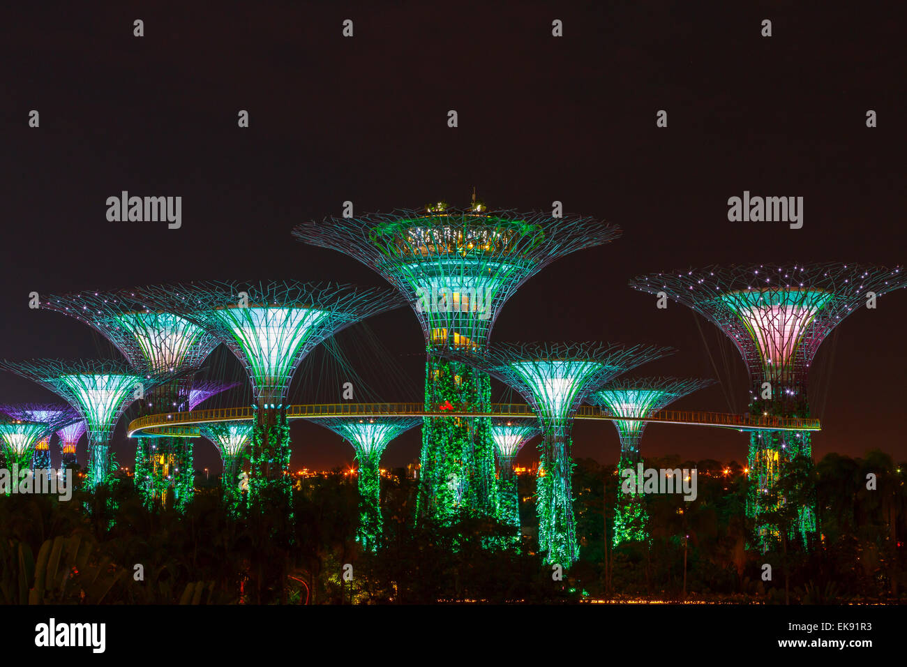 The Supertree Grove at night. Gardens by the Bay. Singapore, Asia Stock ...