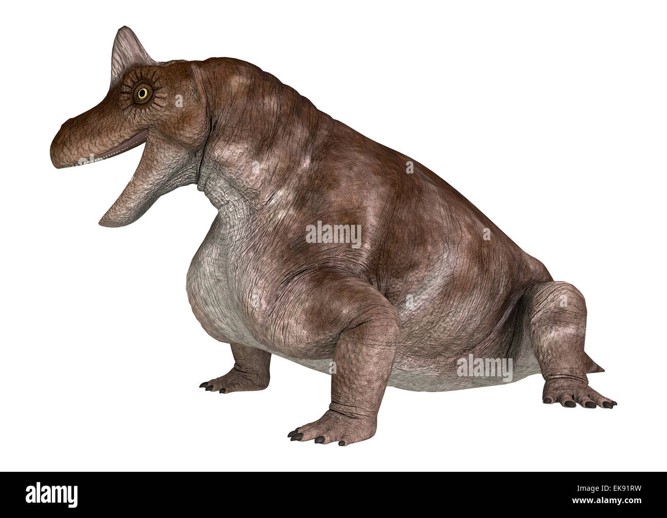 3D digital render of a dinosaur keratocephalus isolated on white ...