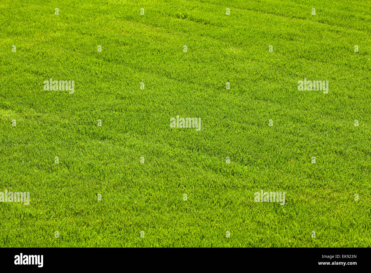 Tonsure hi-res stock photography and images - Alamy
