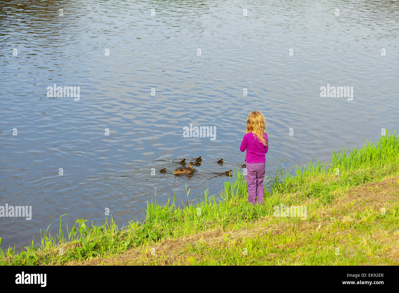 Girls ducks animals hi-res stock photography and images - Alamy