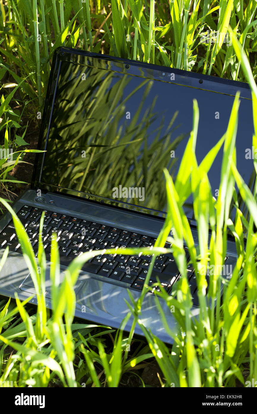 laptop in green grass Stock Photo - Alamy