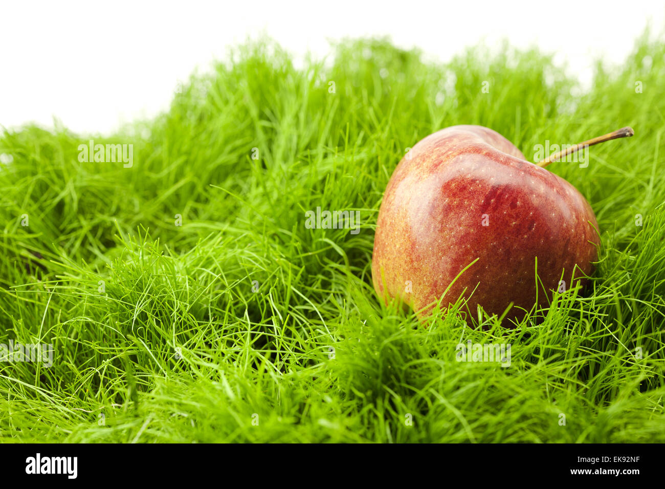 Red apple lying on hi-res stock photography and images - Alamy