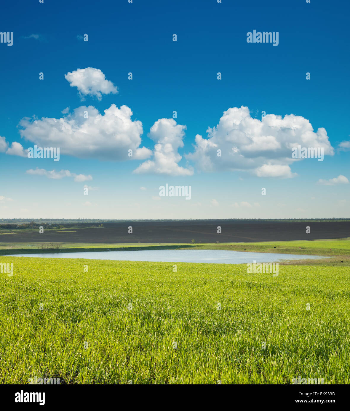 green field and pond Stock Photo - Alamy