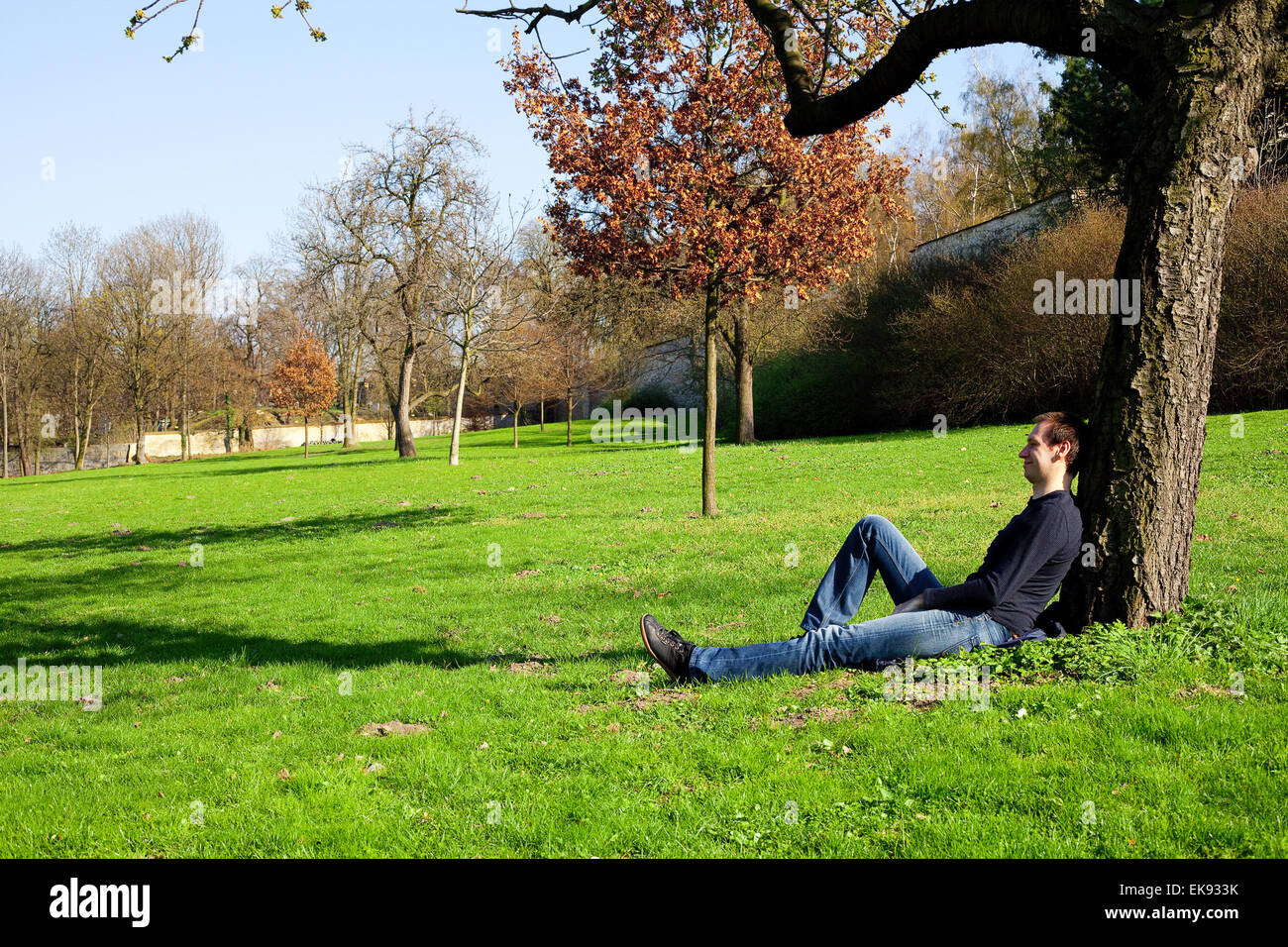 man resting in a tree Stock Photo - Alamy