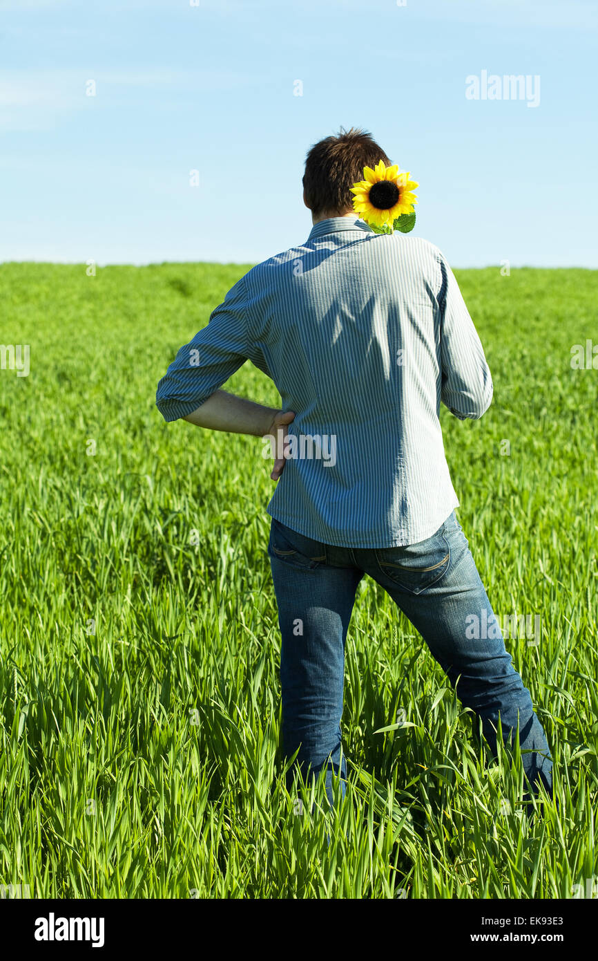 a young man and a sunflower field Stock Photo - Alamy