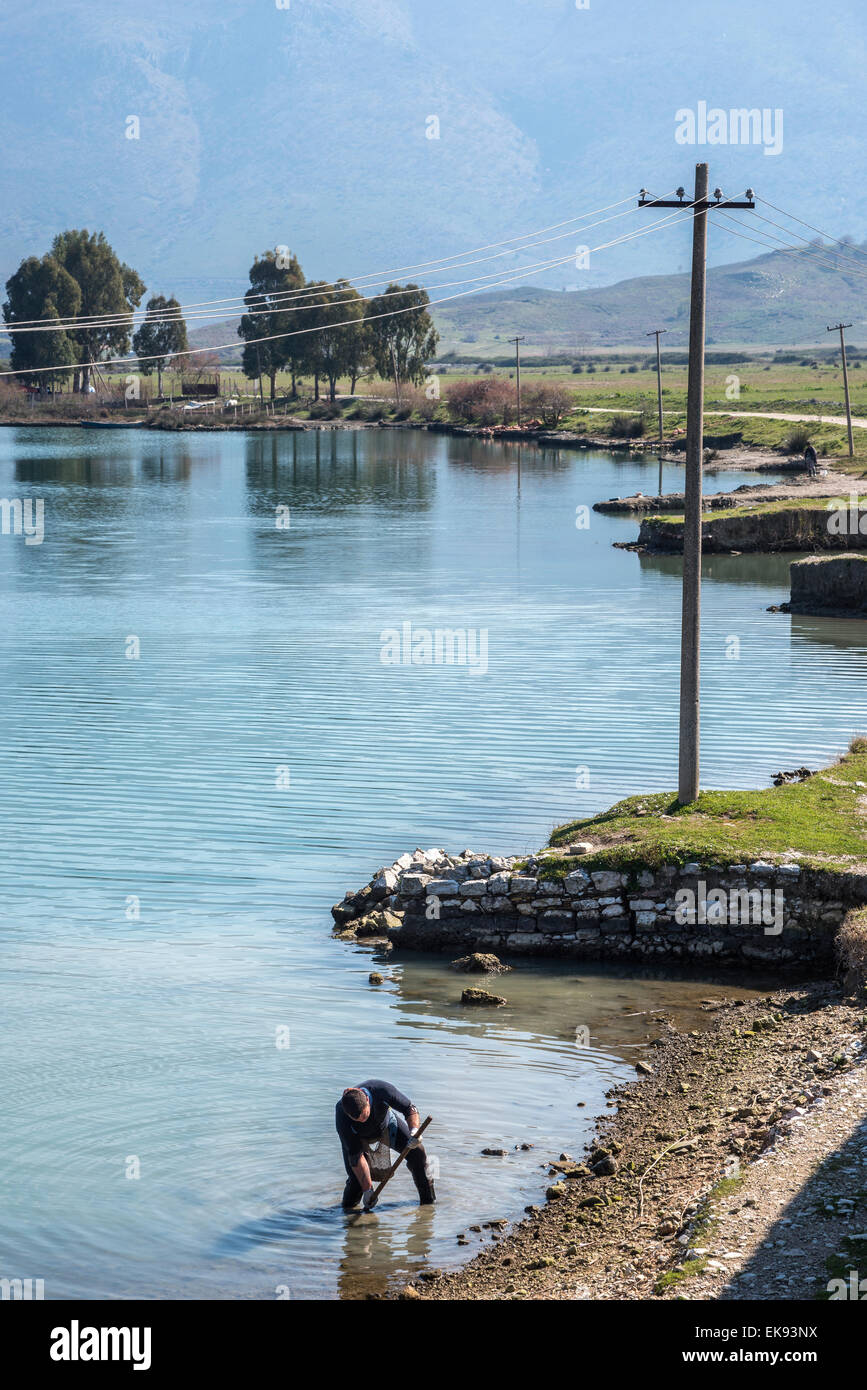 Digging for cockles in the Vivari channel with ancient Butrint in the ...