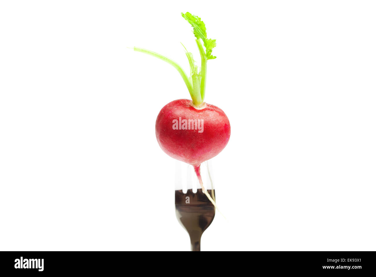 Bundle organic radishes on hi-res stock photography and images - Alamy