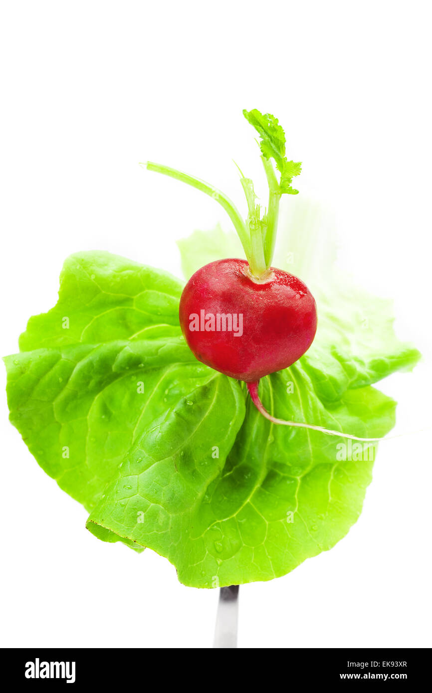 radishes and lettuce on a fork isolated on white Stock Photo - Alamy