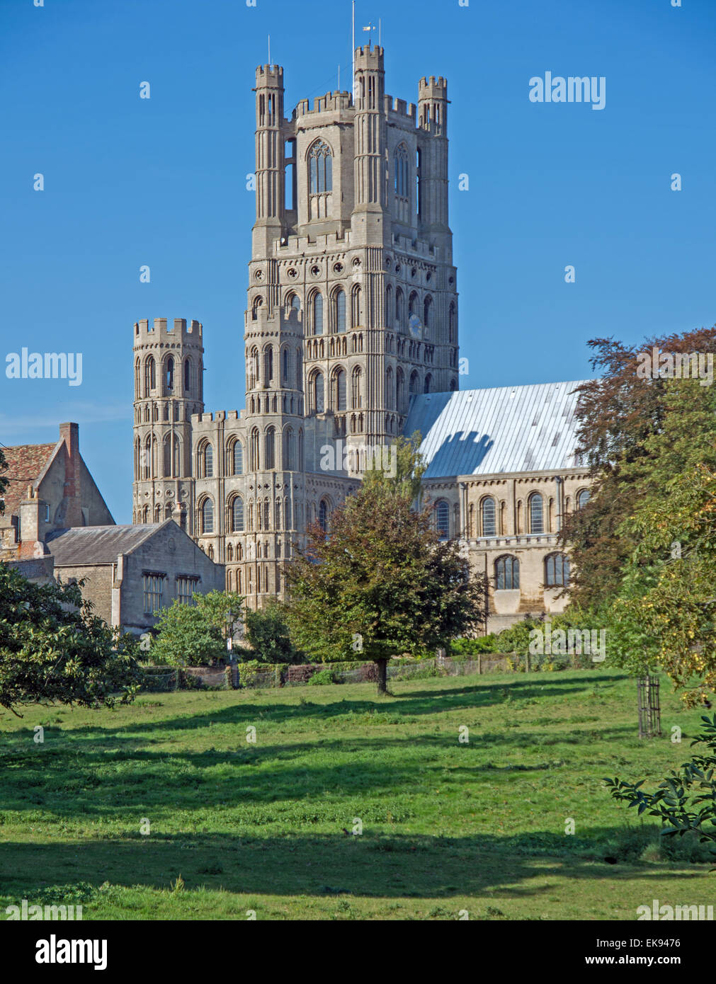 Cathedral green ely hi-res stock photography and images - Alamy