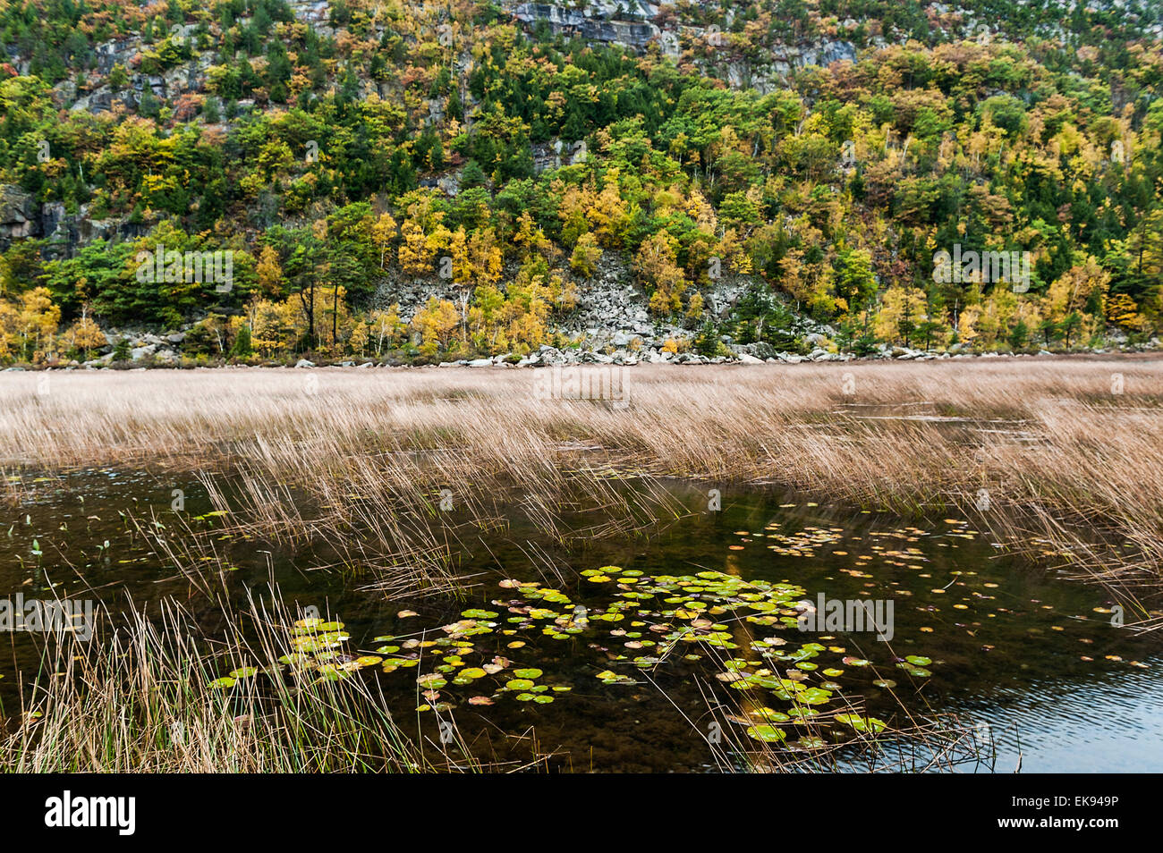 The tarn at the base of Dorr Mountain, Acadia National Park, Maine, USA ...