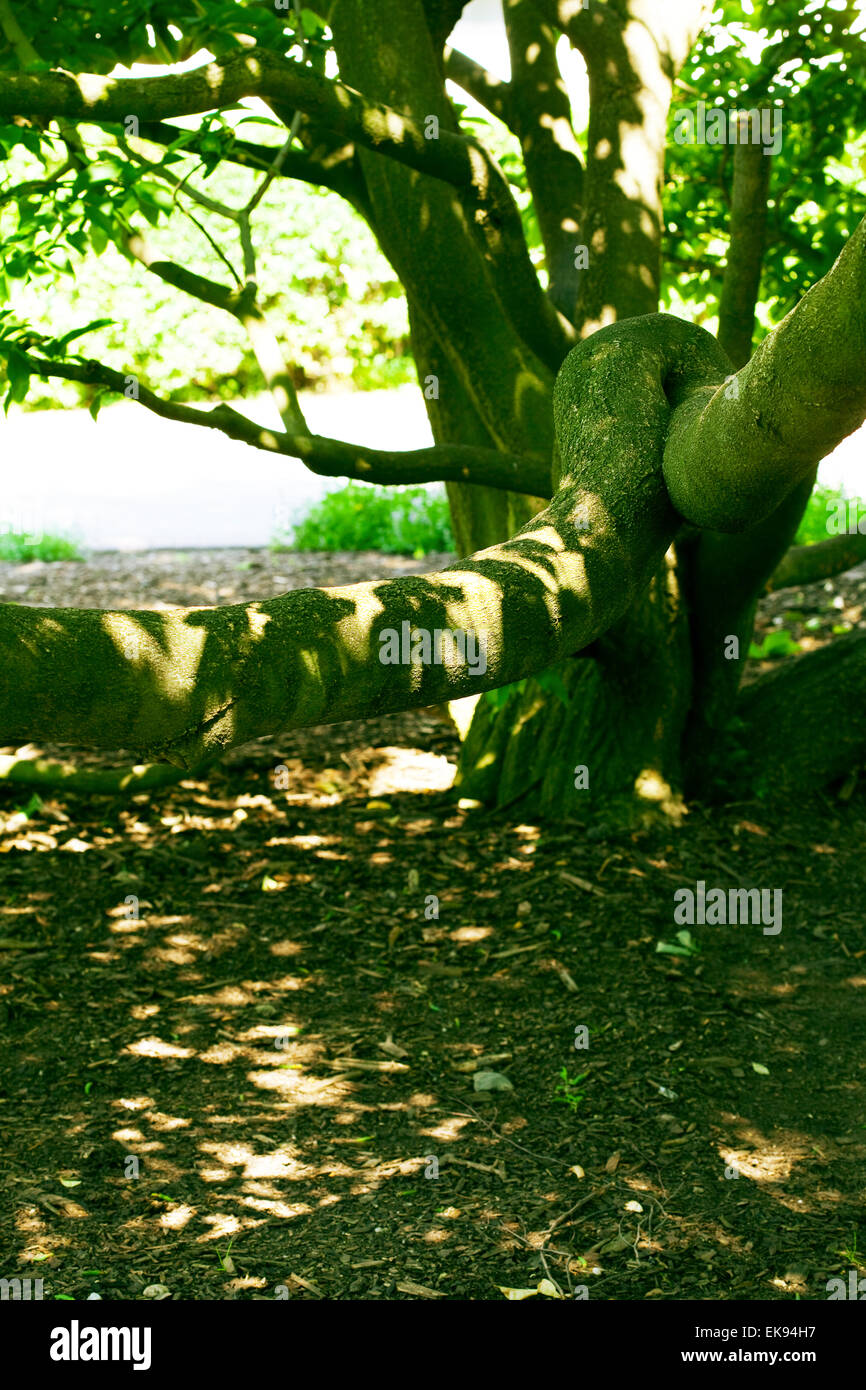 Aging environment hi-res stock photography and images - Alamy
