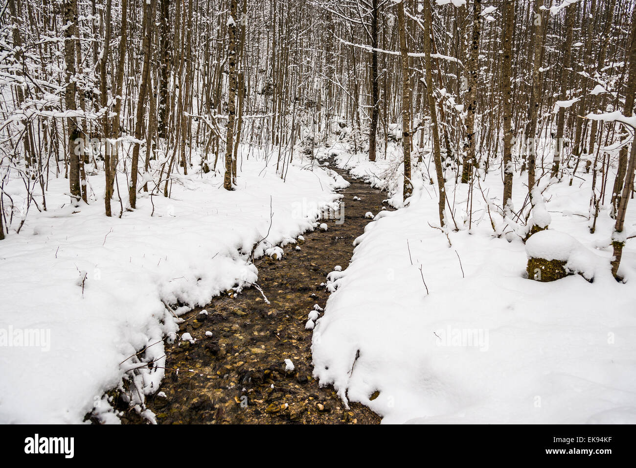 Fall treees hi-res stock photography and images - Alamy