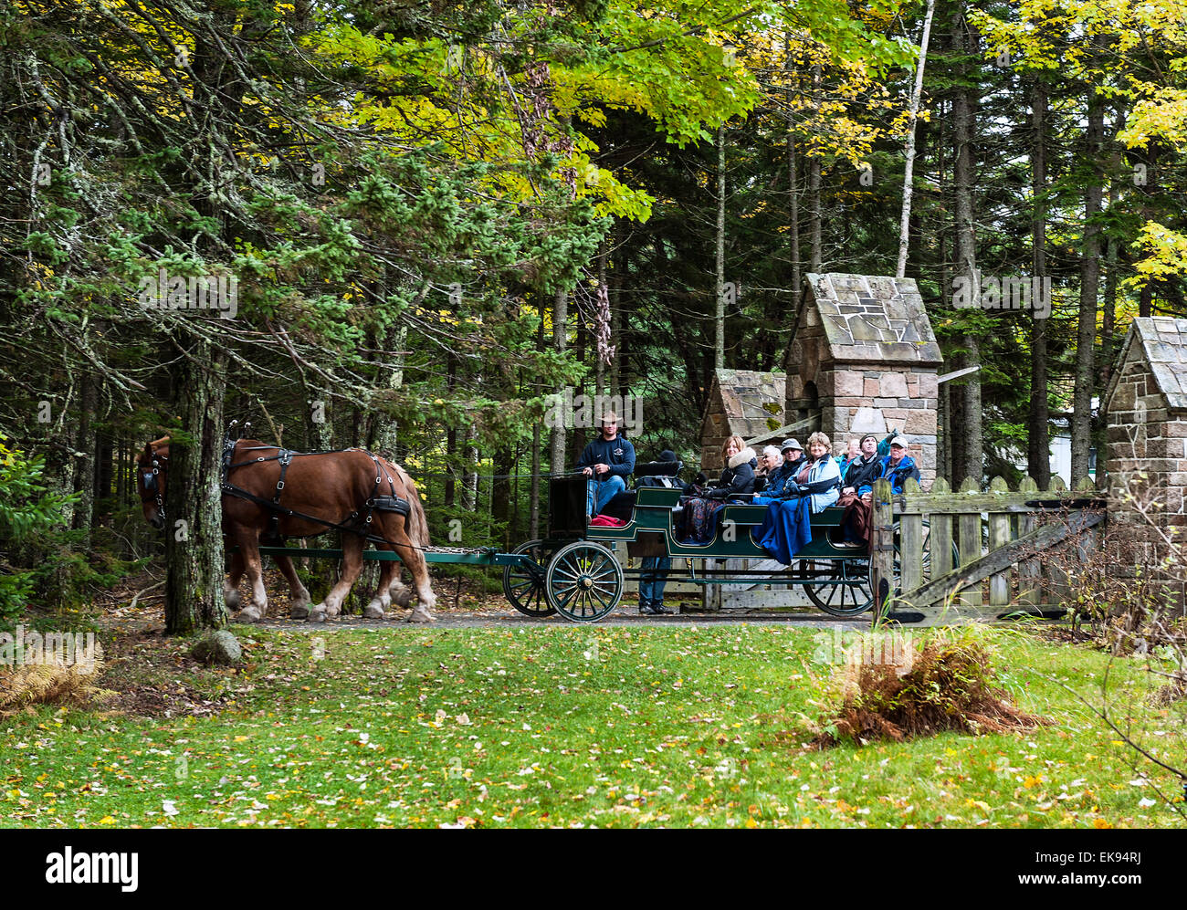 Horse drawn tour carriage hi-res stock photography and images - Alamy