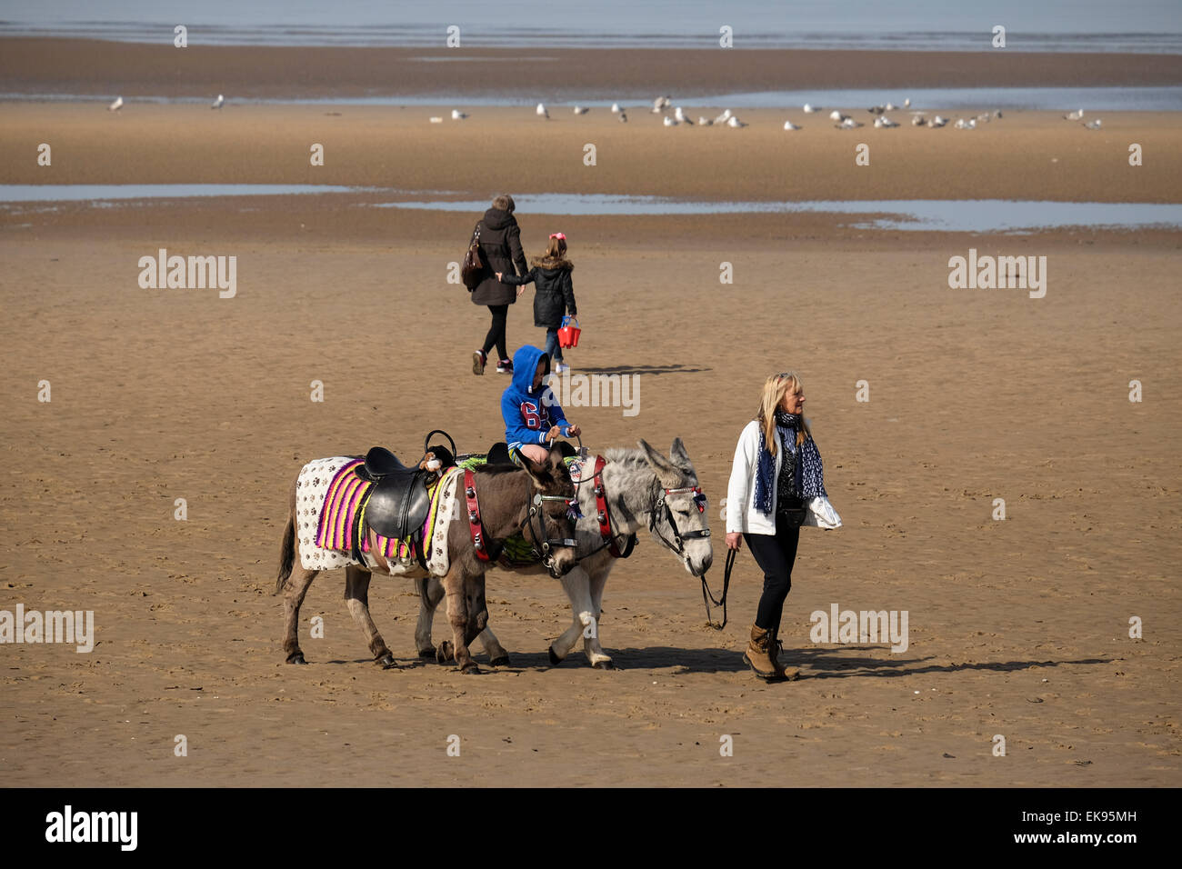 Woman riding donkey hi-res stock photography and images - Alamy