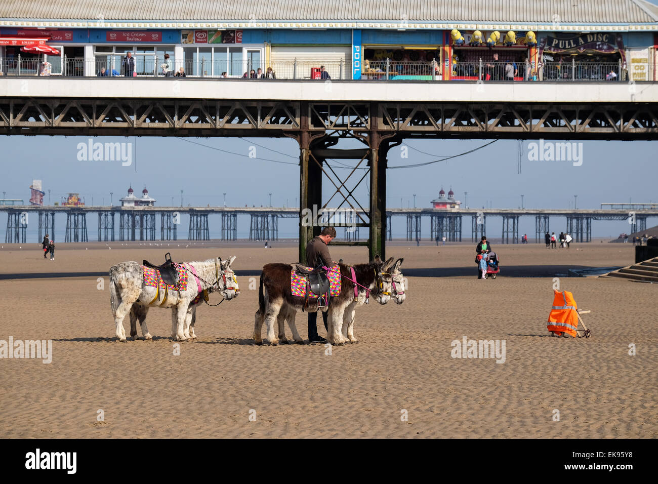 Donkey rides on blackpool sands hi-res stock photography and images - Alamy