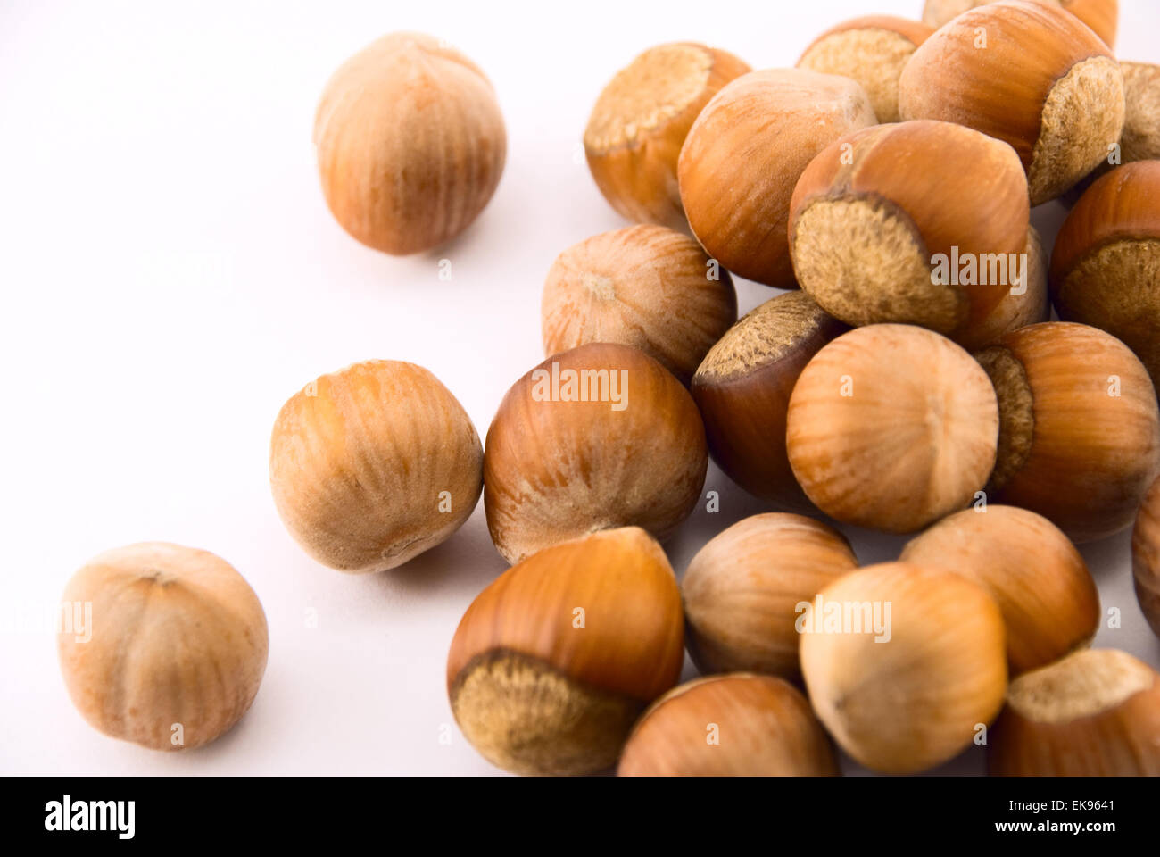 hazelnuts and walnuts isolated on white Stock Photo - Alamy