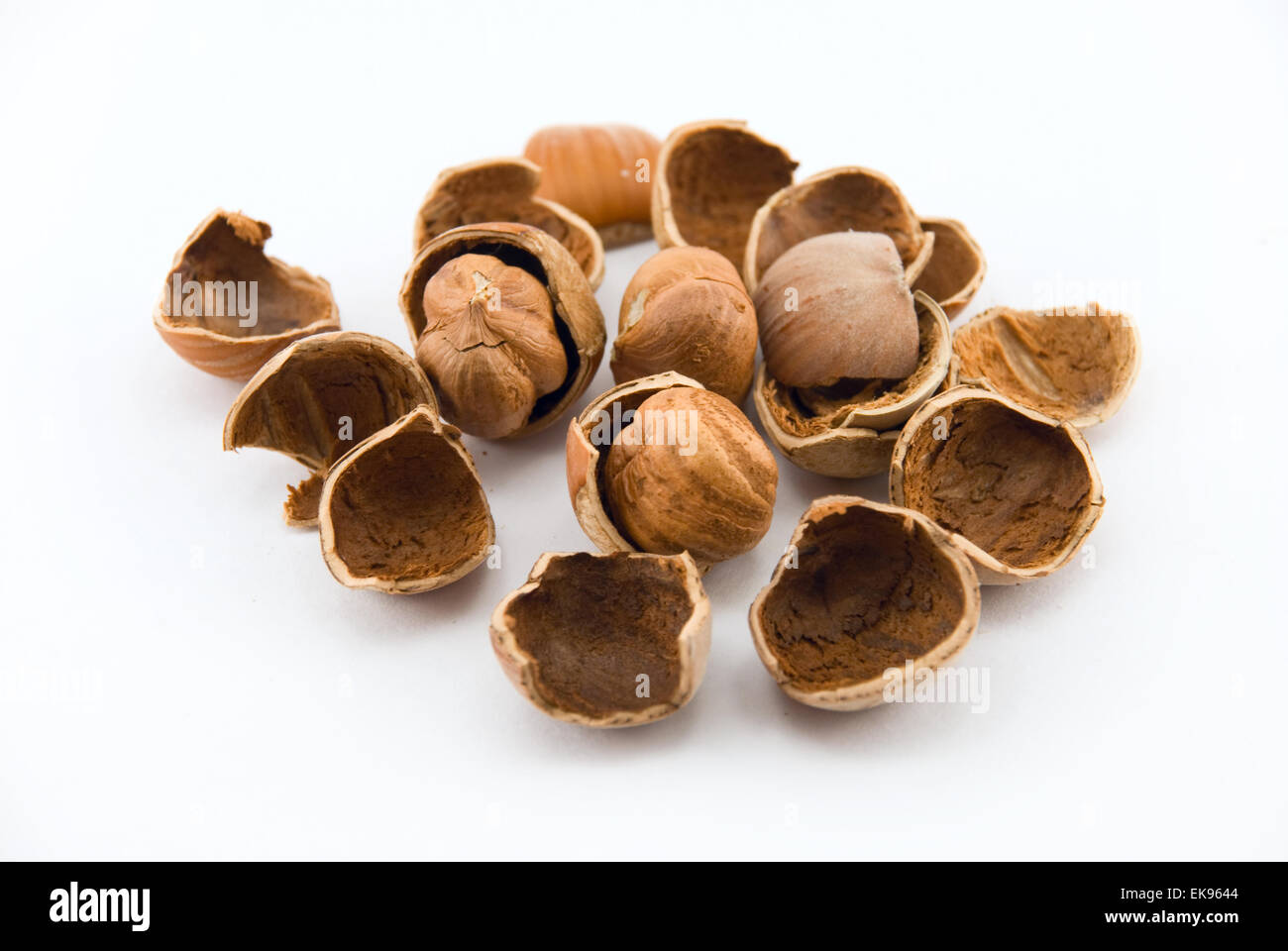 hazelnuts and walnuts isolated on white Stock Photo - Alamy