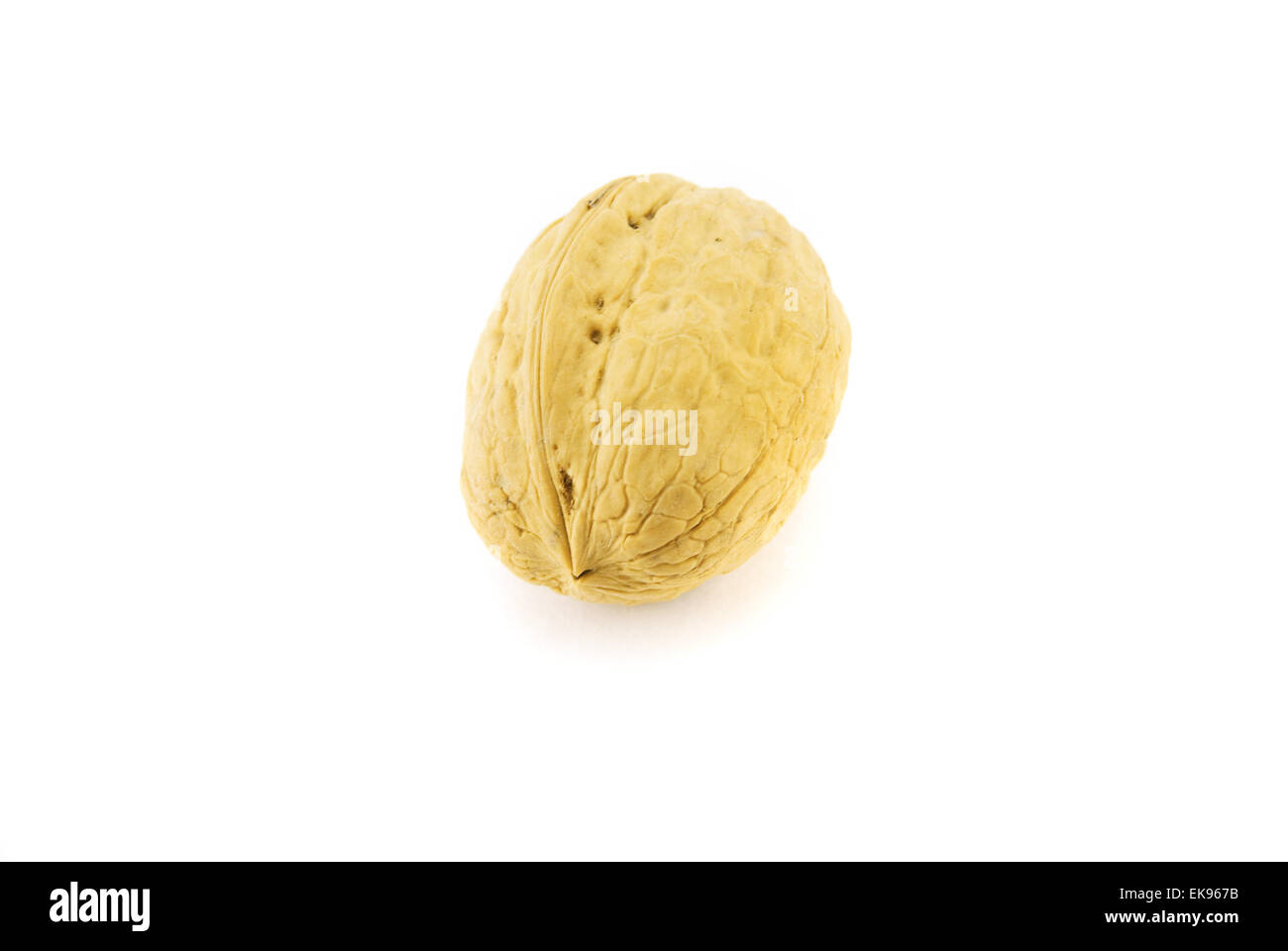 Walnut isolated hi-res stock photography and images - Alamy