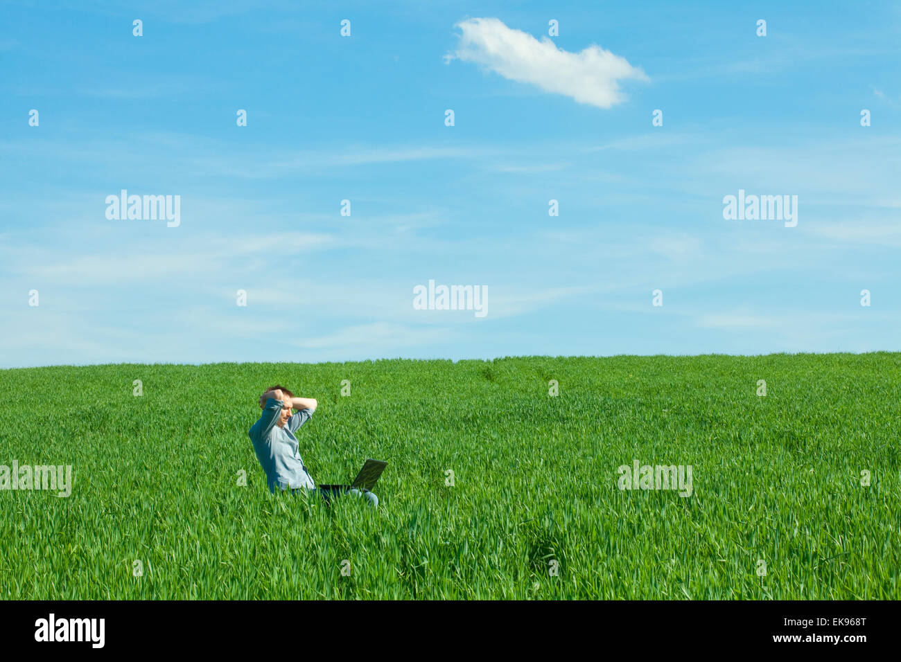 young man using laptop in the field Stock Photo - Alamy