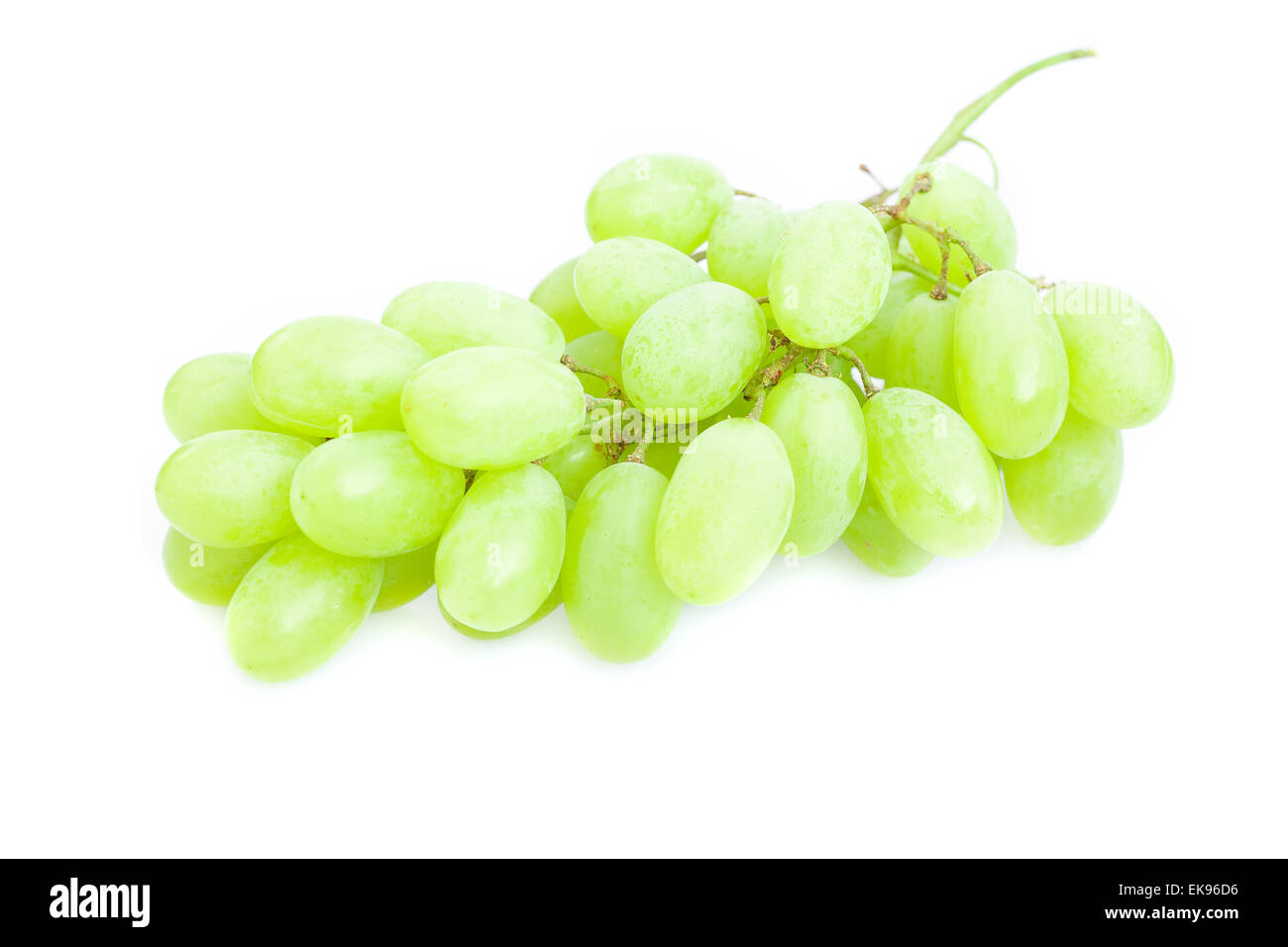 Ripe large grapes on Cut Out Stock Images & Pictures - Alamy