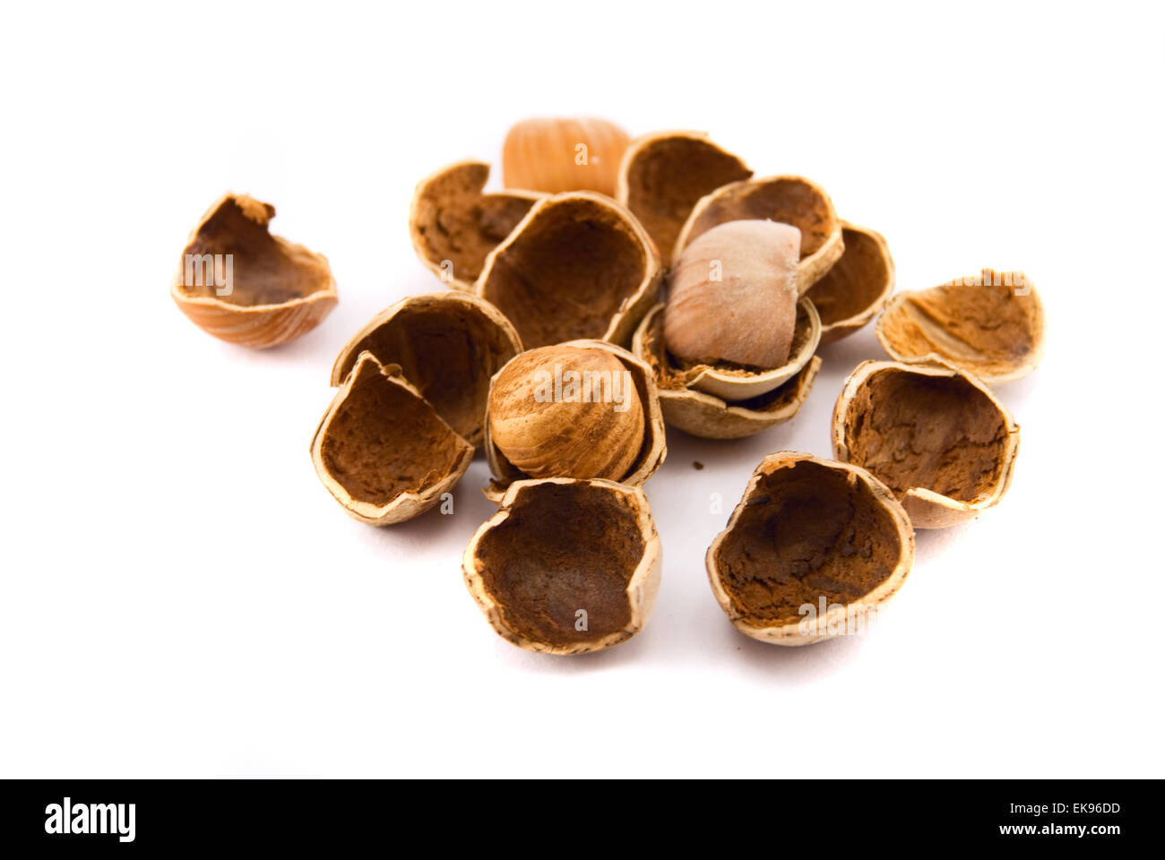 hazelnuts isolated on white Stock Photo - Alamy