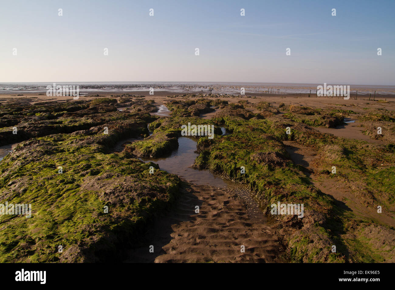 Bridgewater bay nature reserve hi-res stock photography and images - Alamy
