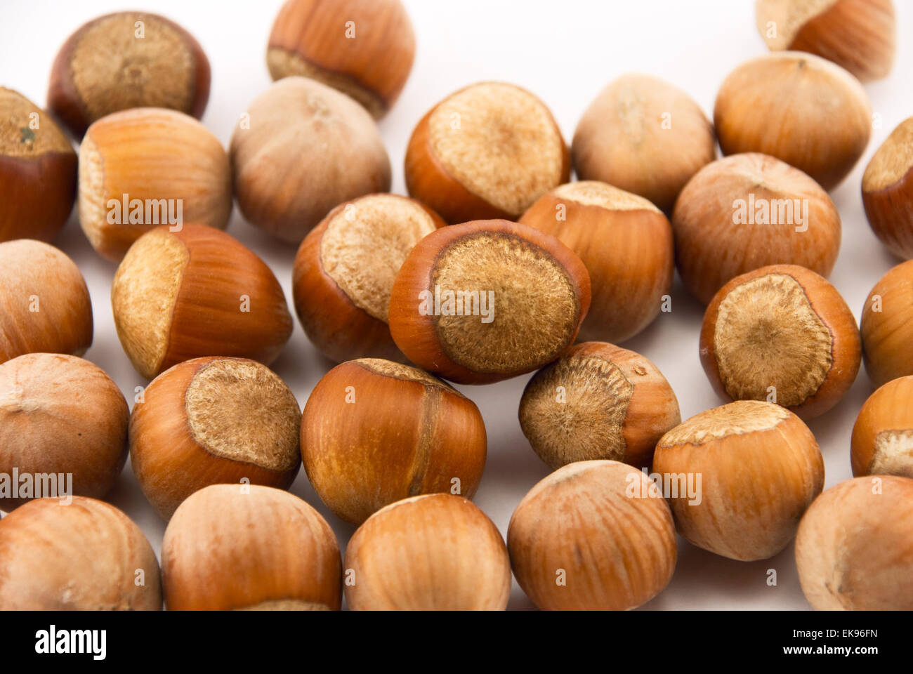 hazelnuts isolated on white Stock Photo - Alamy