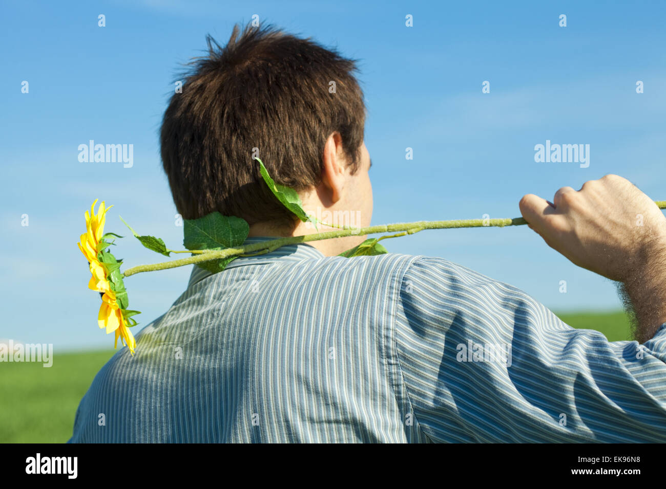 young man standing with a sunflower in the green field Stock Photo - Alamy