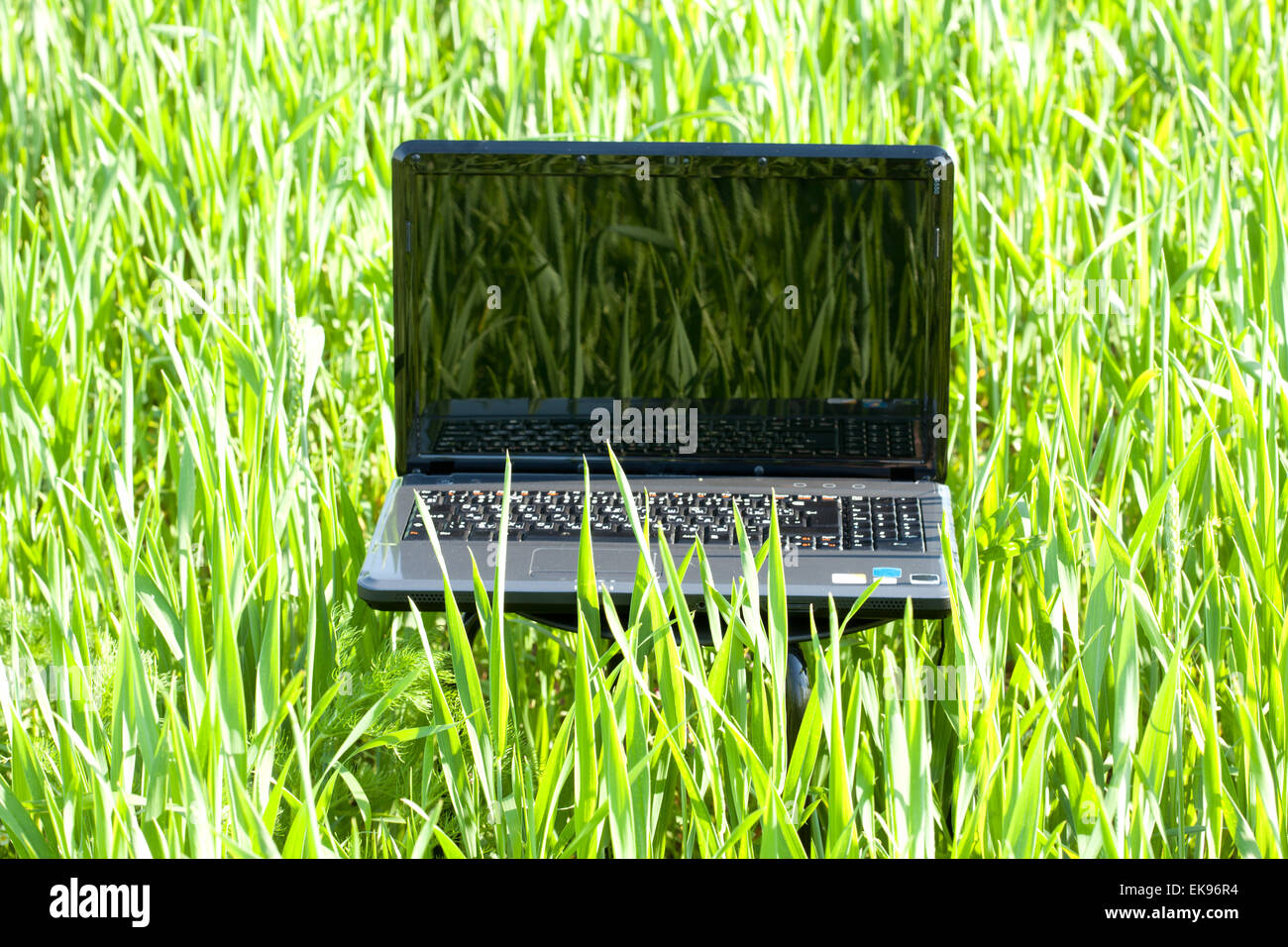 laptop in green grass Stock Photo - Alamy
