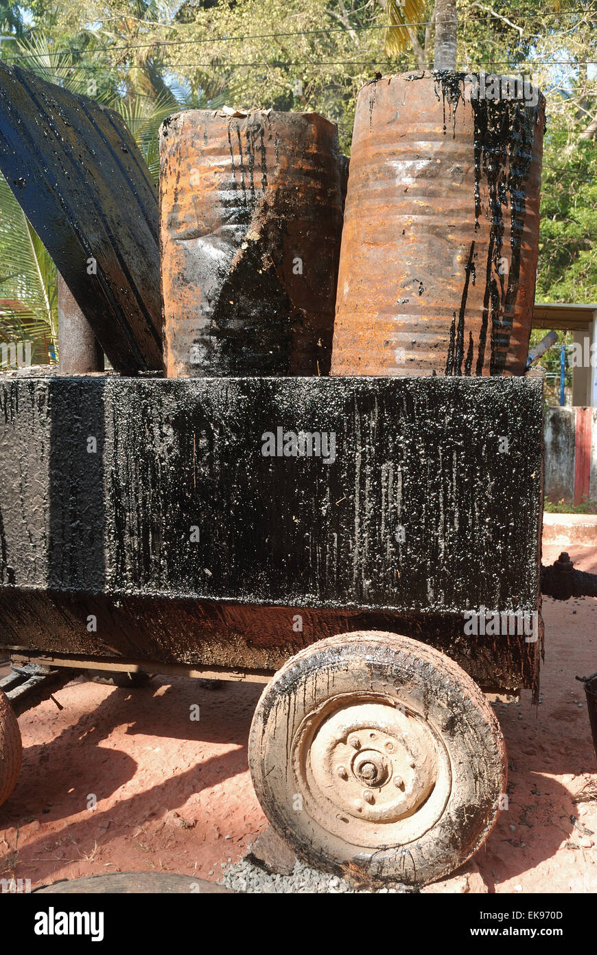 Taring hi-res stock photography and images - Alamy