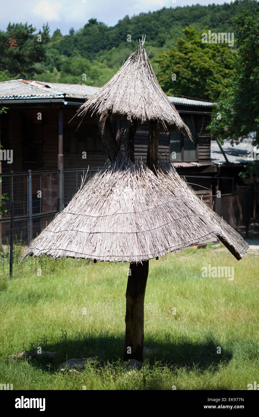 Hawaiian hut hi-res stock photography and images - Alamy