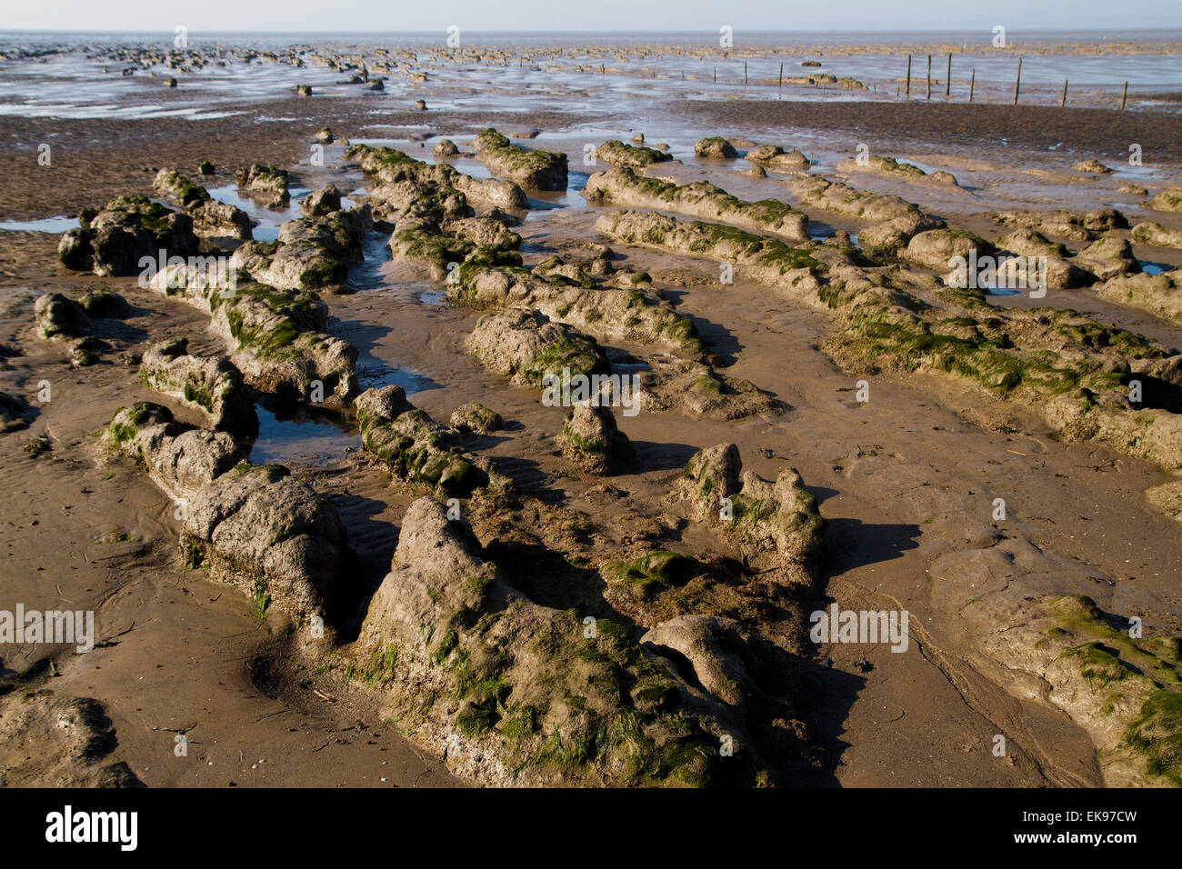 Stert flats hi-res stock photography and images - Alamy
