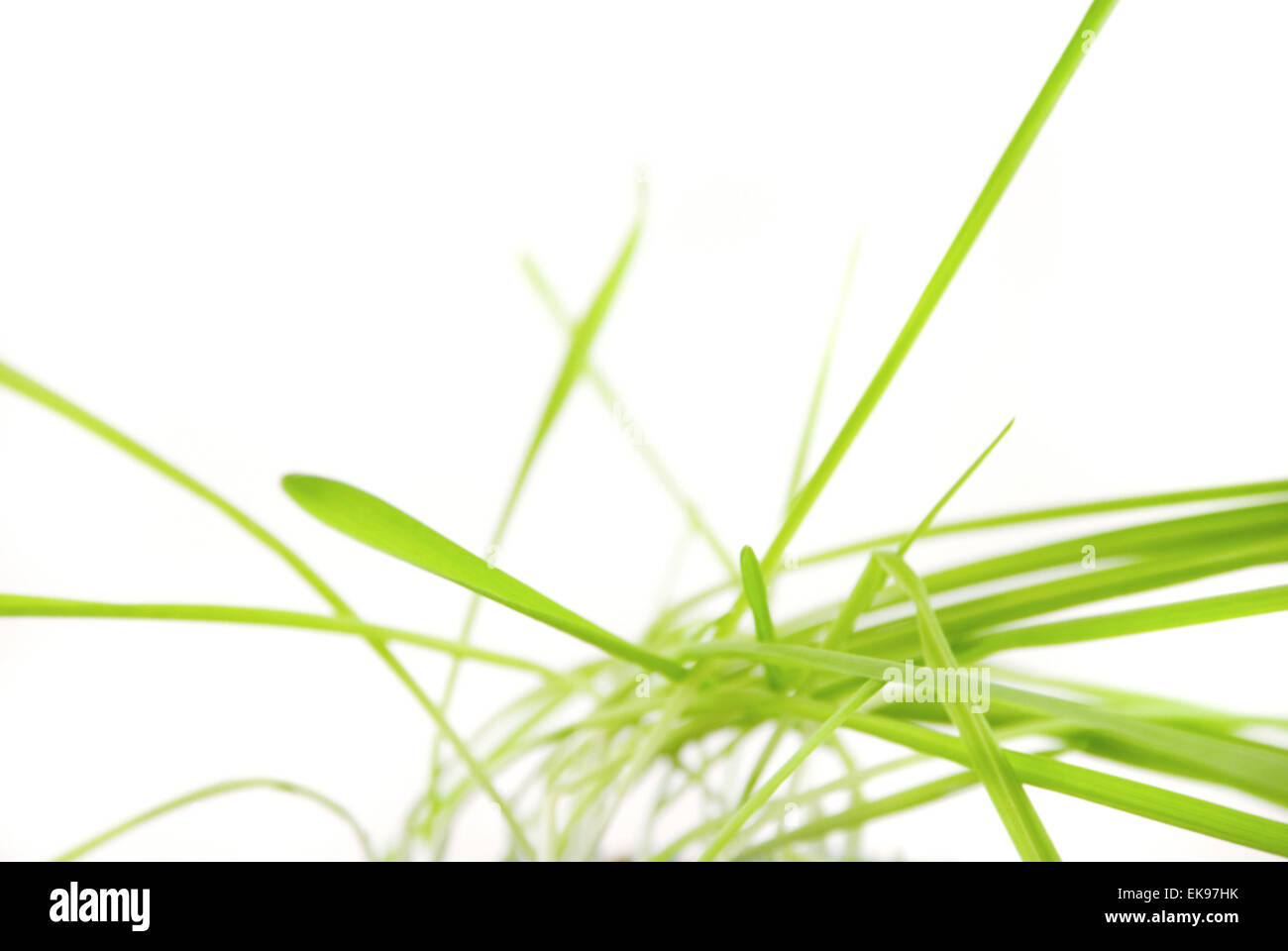 Tuft grass hi-res stock photography and images - Alamy